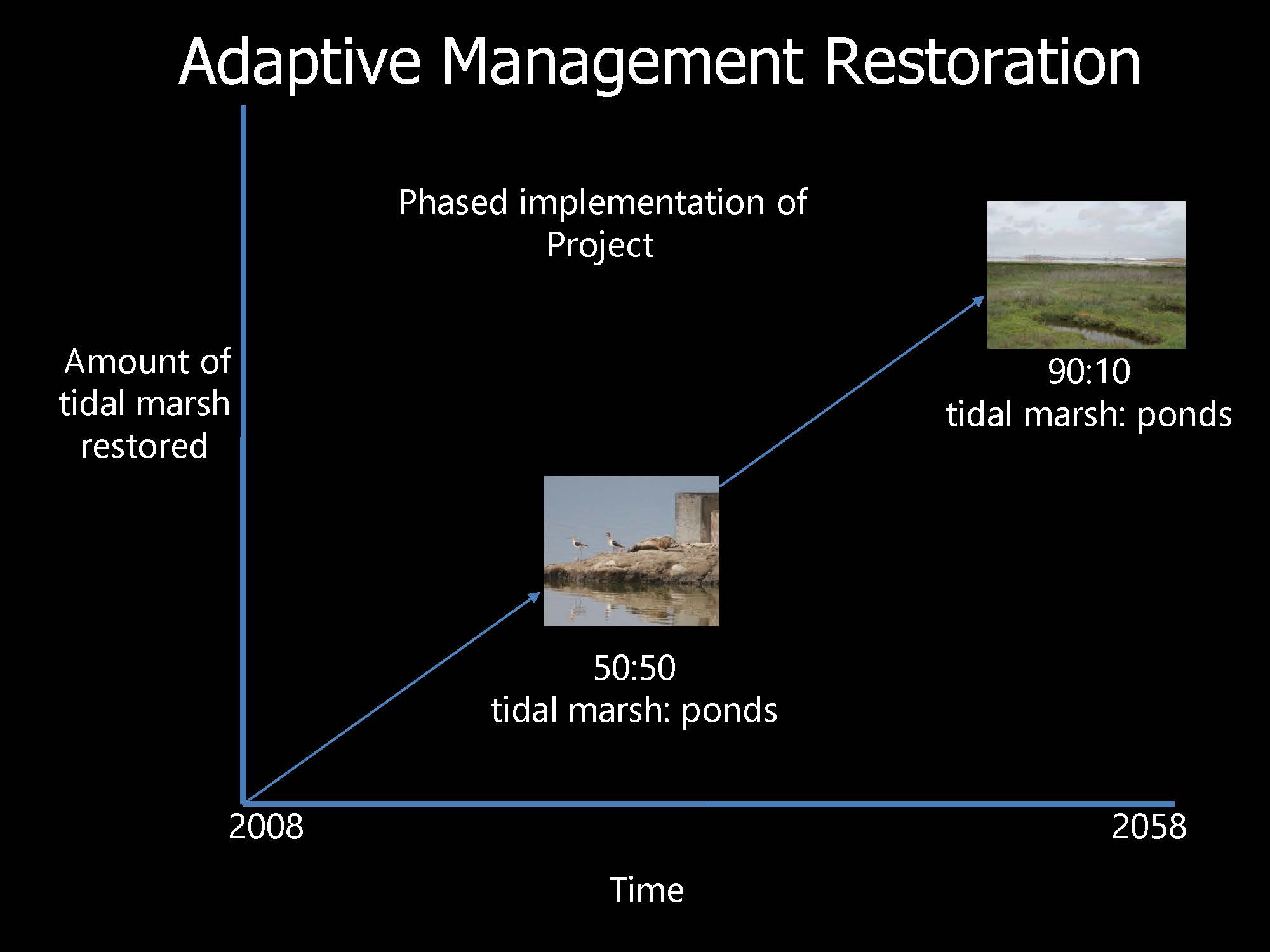 South Bay Salt Pond Project_Page_09 ~ MAVEN'S NOTEBOOK | California ...