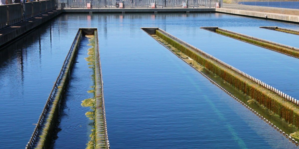 CCWD Water Treatment Plant ~ MAVEN'S NOTEBOOK | California Water News ...