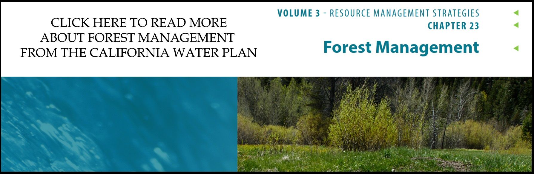 Ch 23 Forest Management Card ~ MAVEN'S NOTEBOOK | California Water News ...