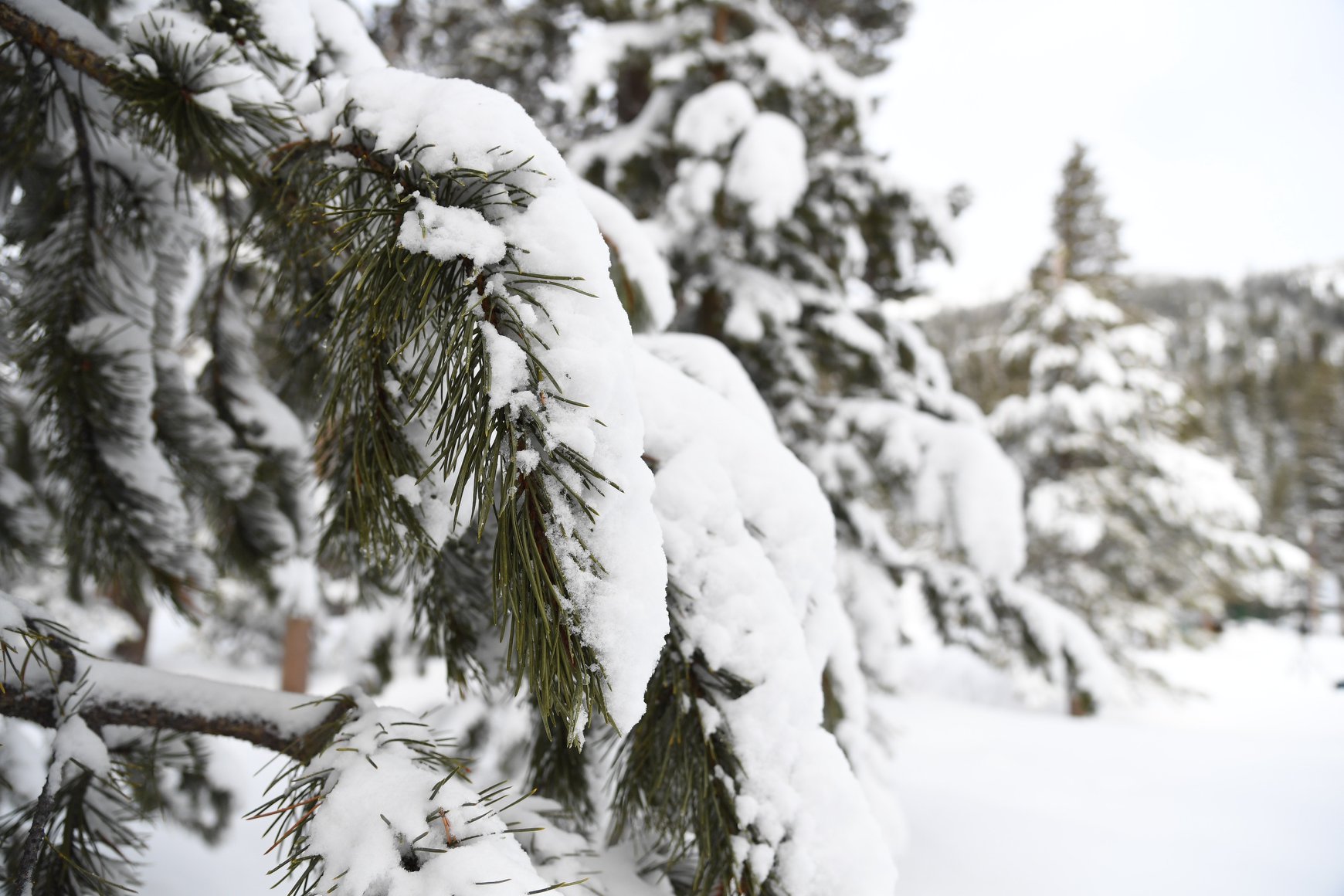 THIS JUST IN ... Dry Conditions Continue Even as Recent Winter Storms ...