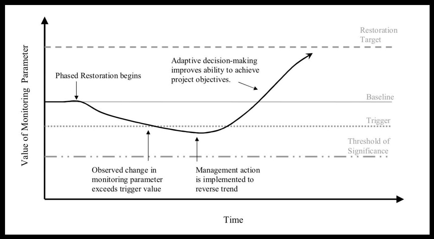 South Bay Salt Pond Project_Page_11 ~ MAVEN'S NOTEBOOK | California ...