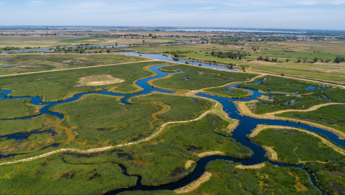 BAY DELTA SCIENCE CONFERENCE: Delta Adapts: Assessing Ecosystem ...