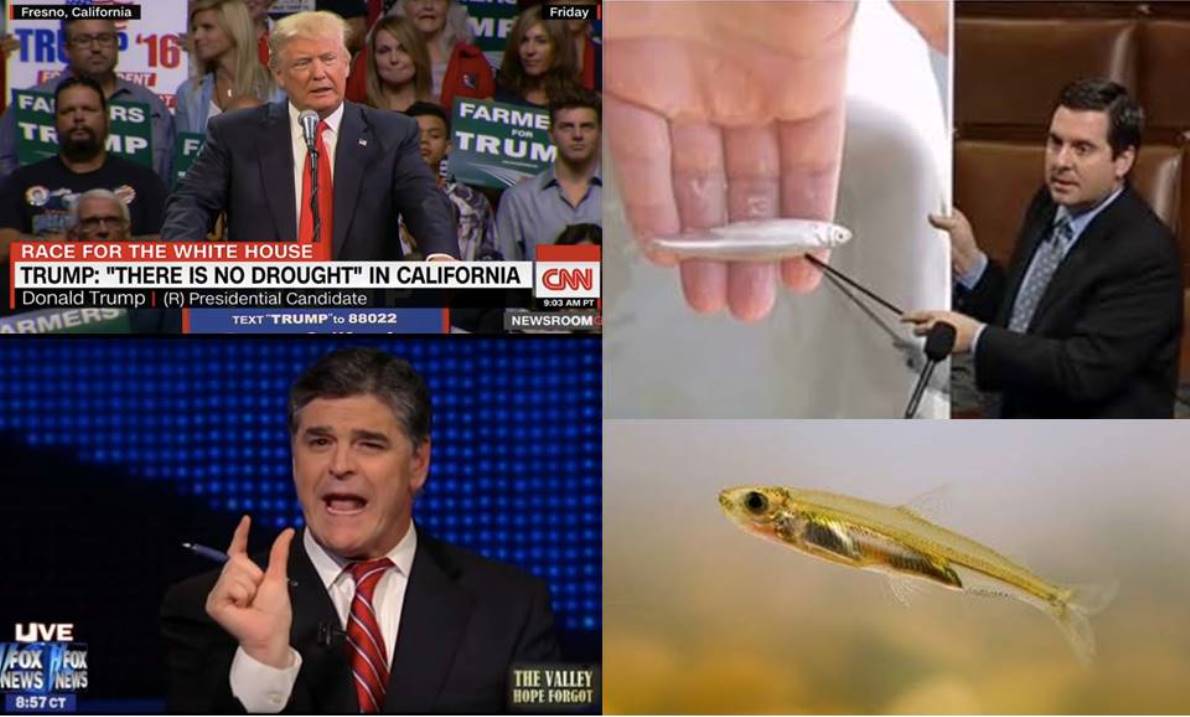 BAY-DELTA SCIENCE CONFERENCE: From California’s Water Wars to America’s ...