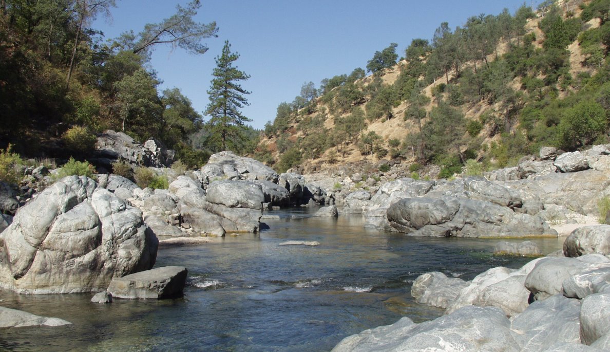 Salmon Fishing Yuba River at Terry Greene blog