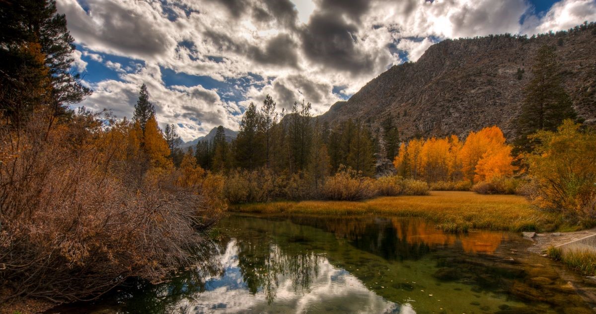 Happy Thanksgiving to you and yours from Maven's Notebook! ~ MAVEN'S ...