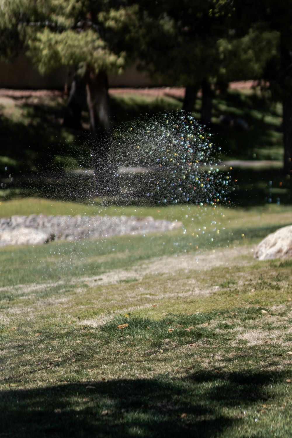 20230406_Turf_XH2s_093MN ~ MAVEN'S NOTEBOOK | California Water News Central