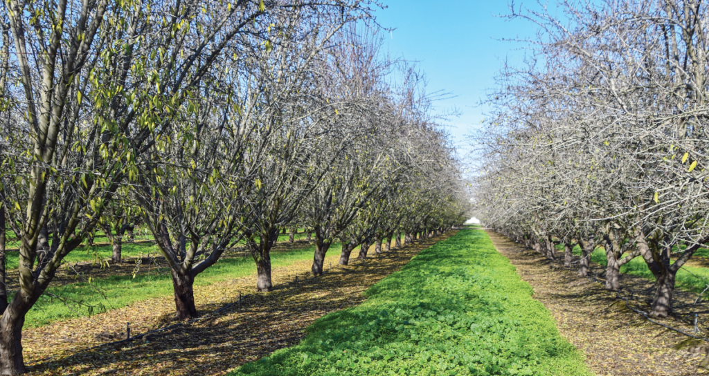 AG ALERT: Farmer demonstrations help promote cover crops ~ MAVEN'S ...