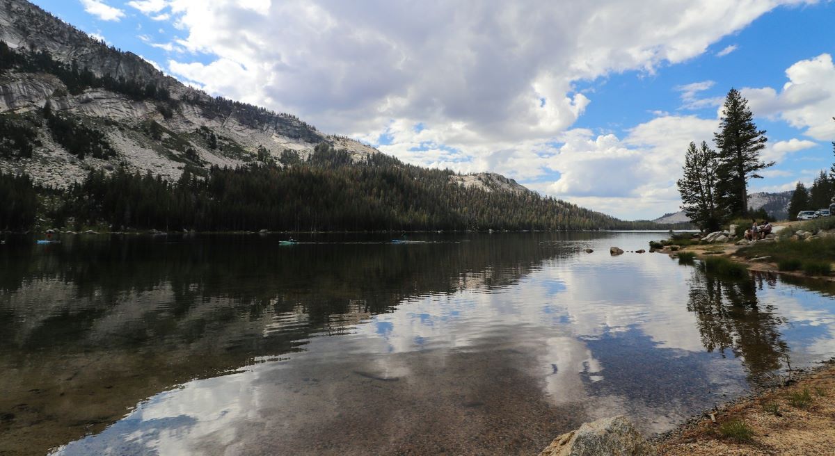 DAILY DIGEST, holiday weekend edition: California details path to ...