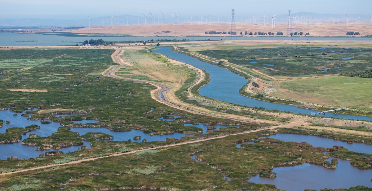 NOTEBOOK FEATURE: The Delta’s role in California's carbon sequestration ...