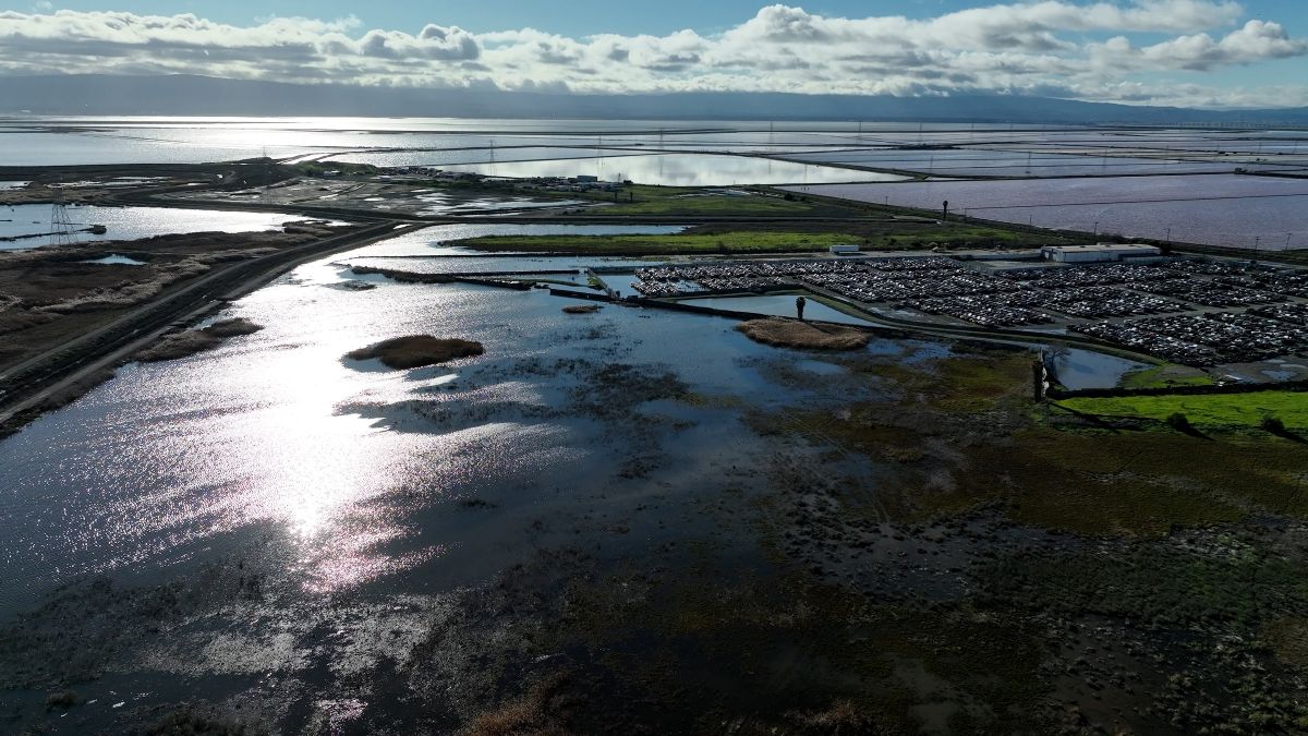 SF BAYKEEPER: New lawsuit challenges Newark's approval of housing ...